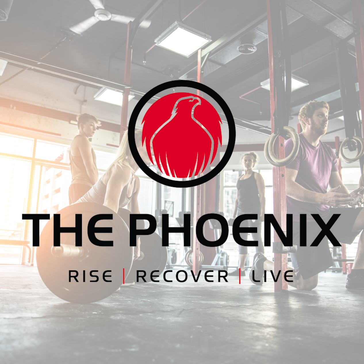The Phoenix | John William Pope Foundation